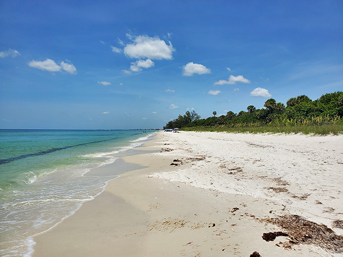 Paradise doesn't need a filter. Wiggins Pass Beach stretches out like nature's welcome mat, inviting you to leave footprints and take memories.