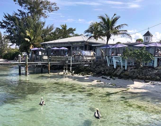 Where paradise meets comfort food – New Pass Grill perches on the water's edge like a weathered postcard from Old Florida.
