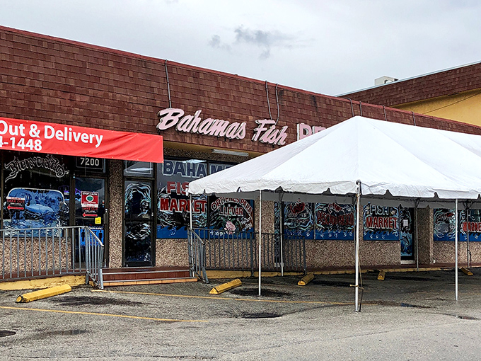 The unassuming exterior of Bahamas Fish Market & Restaurant hides culinary treasures within. Like finding a pearl in an oyster, this Little Havana gem awaits.