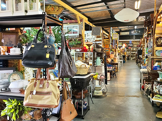 Step into this unassuming treasure trove where vintage handbags hang like ripe fruit, ready to be plucked by savvy shoppers with an eye for retro style.