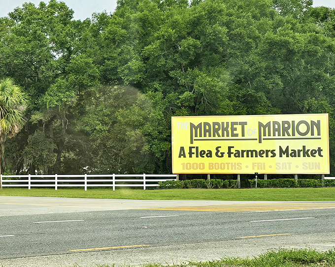 The iconic yellow sign welcomes treasure hunters to Market of Marion, where 1,000 booths of possibility await every weekend.