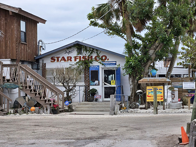 The unassuming entrance to seafood paradise. Star Fish Company's weathered charm and bright blue door promise authentic Florida flavors without an ounce of pretension.