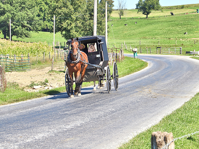 Horse-drawn buggies aren't just tourist attractions here&mdash;they're the daily commute. Ohio's rolling countryside provides the perfect backdrop for this authentic Amish transportation.