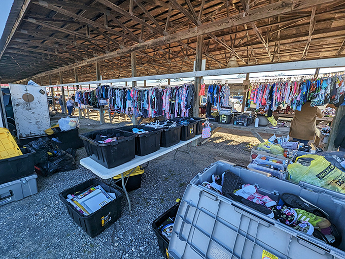 The treasure hunt begins! Under this sprawling wooden canopy, everyday items transform into potential discoveries waiting for the right pair of eyes.