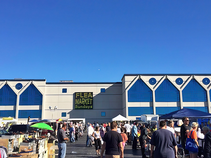The Allstate Arena parking lot transforms into a treasure hunter's paradise every Sunday, where bargains and curiosities await under the bright blue Illinois sky.