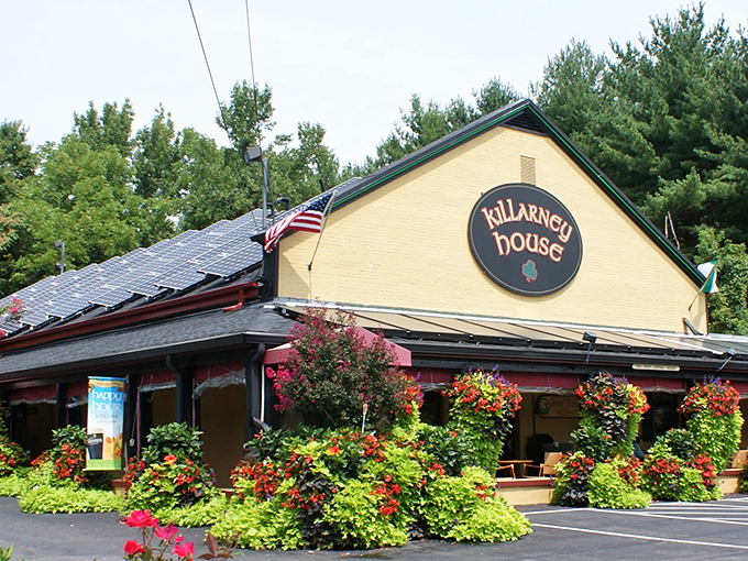 The cheerful yellow exterior of Killarney House, with its vibrant hanging flower baskets, promises Irish hospitality before you even reach the door.