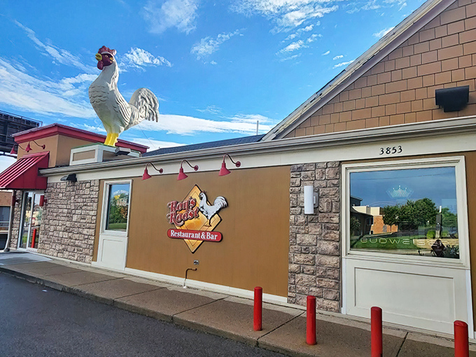 The iconic rooster stands sentinel atop Ron's Roost, a beacon of fried chicken perfection that's been drawing hungry pilgrims to Cincinnati for generations.