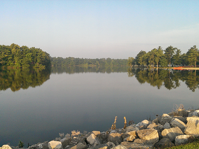 Mirror-like waters reflecting nature's masterpiece. Harrison Lake at dawn offers the kind of serenity that expensive meditation apps try to bottle.