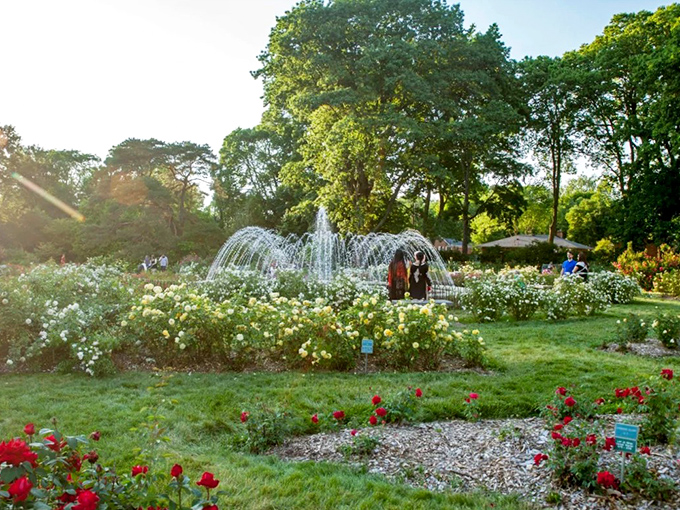 The fountain dances among roses like nature's own choreography, creating a scene straight out of a fairytale in Columbus' hidden paradise.