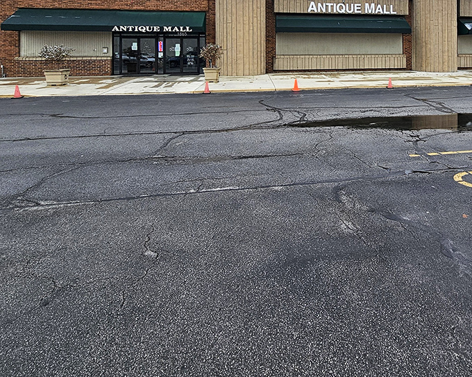 The unassuming entrance belies the wonderland within, like finding Narnia behind a modest wardrobe door in suburban Ohio.