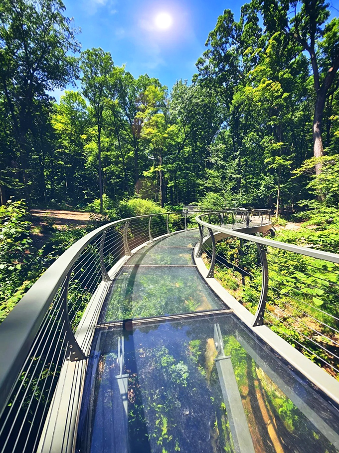 Nature's own watercolor masterpiece &ndash; autumn leaves frame this silky cascade as it tumbles between ancient rocks, creating a moment of perfect tranquility.