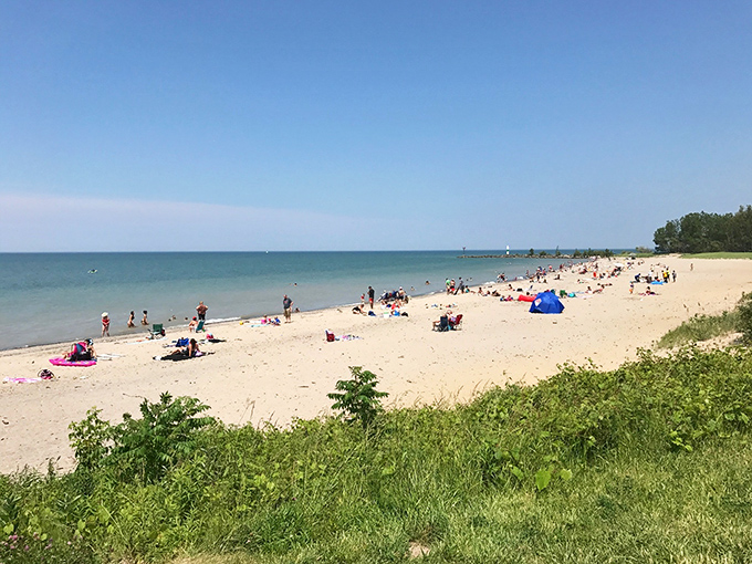 The golden stretch of sand meets Lake Erie's blue horizon, creating Ohio's answer to coastal paradise. Who needs an ocean when perfection is right here?