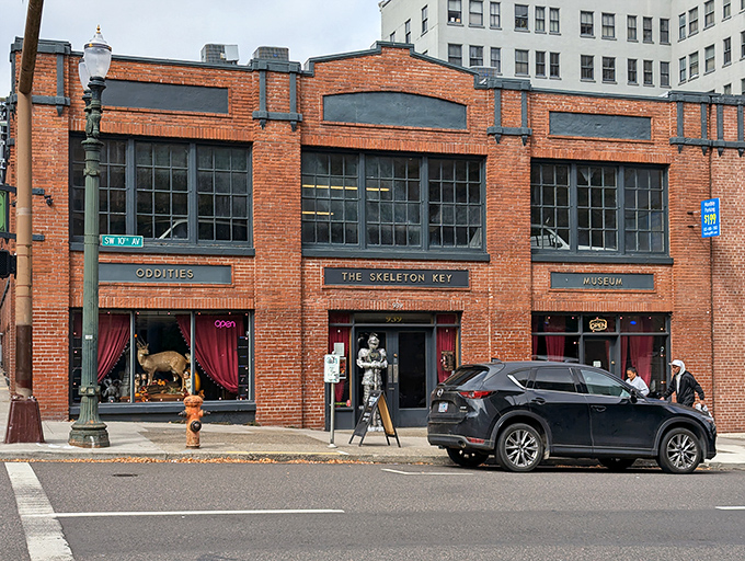 The brick facade of The Skeleton Key Odditorium beckons curious passersby with its vintage charm and crimson curtains, promising wonders that defy ordinary museum experiences.