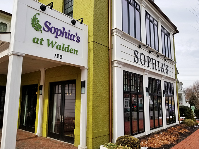 The cheerful lime-green exterior of Sophia's at Walden beckons like a culinary lighthouse, promising delicious refuge from ordinary dining experiences.