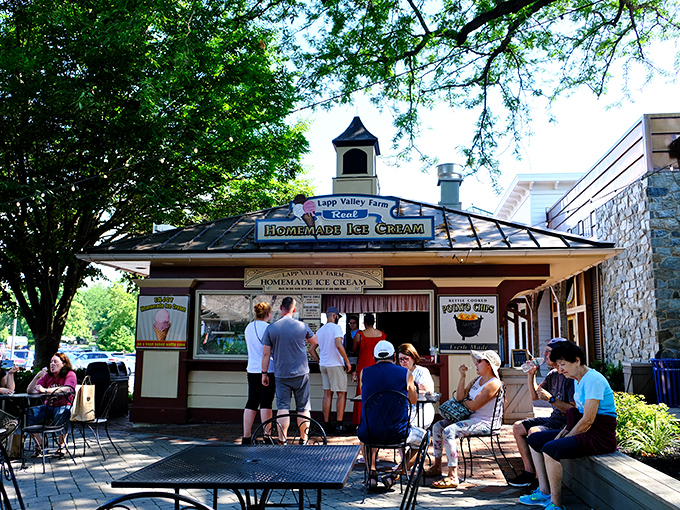 A bustling ice cream stand where locals and tourists alike gather under autumn trees, patiently waiting for their creamy reward.