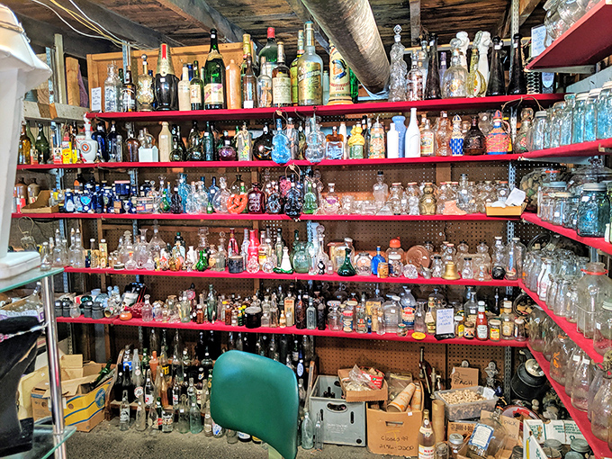 A collector's paradise! Shelves upon shelves of vintage bottles tell stories of bygone eras, each one waiting for its next chapter.