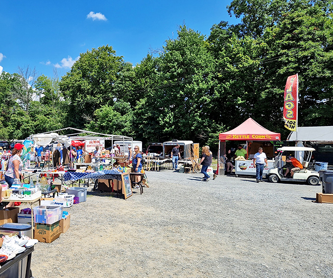 The treasure hunt begins where gravel meets possibility, and every tent holds secrets waiting to be discovered.