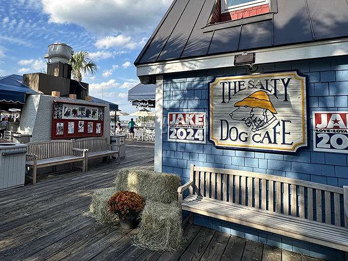 The iconic blue exterior of The Salty Dog Cafe stands like a maritime beacon, promising seafood treasures within its weathered coastal charm.