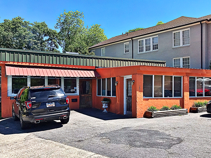 The unassuming orange exterior of Mediterranean Tea Room stands like a culinary lighthouse in Columbia, promising authentic flavors behind its modest fa&ccedil;ade.