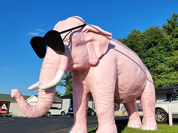 Ellie strikes a pose against the Tennessee sky, her bubblegum-pink presence demanding attention like a flamingo at a penguin convention.