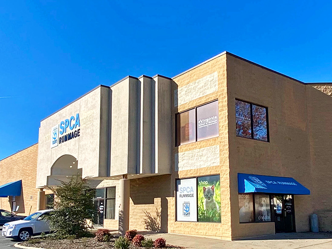 The SPCA Rummage Store's distinctive façade stands out against Charlottesville's blue sky, promising treasure hunters a day of bargain-finding while supporting furry friends in need.
