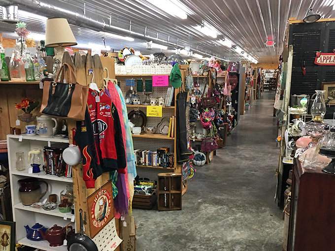 Shelves packed with collectibles that would make any nostalgia enthusiast weak in the knees. Every item has a story waiting to be discovered.