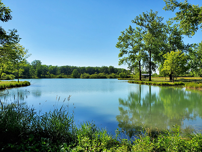 Nature's mirror at work! The inland lake at Maumee Bay reflects trees and sky with such perfection, you'll wonder which way is up.