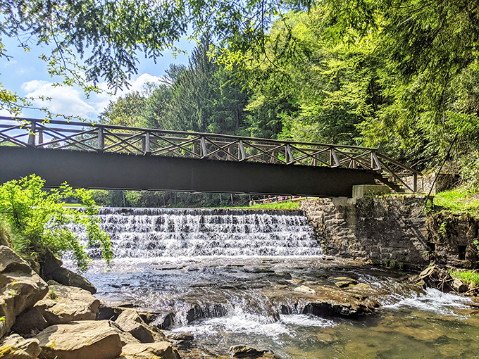 Nature's perfect soundtrack: a rustic footbridge spans the cascading waterfall, creating that rare moment when reality outperforms your desktop screensaver.