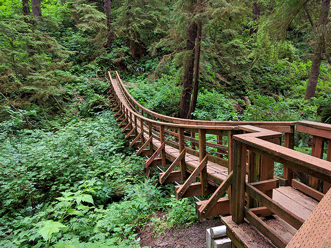 Welcome to paradise! The entrance to Cape Lookout State Park invites you in with a sunlit forest bridge that promises adventure ahead.