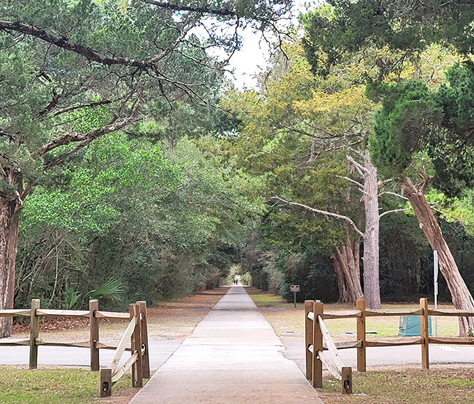 Nature's welcome mat unfurls before you &ndash; a tree-lined pathway inviting exploration into South Carolina's best-kept coastal secret.