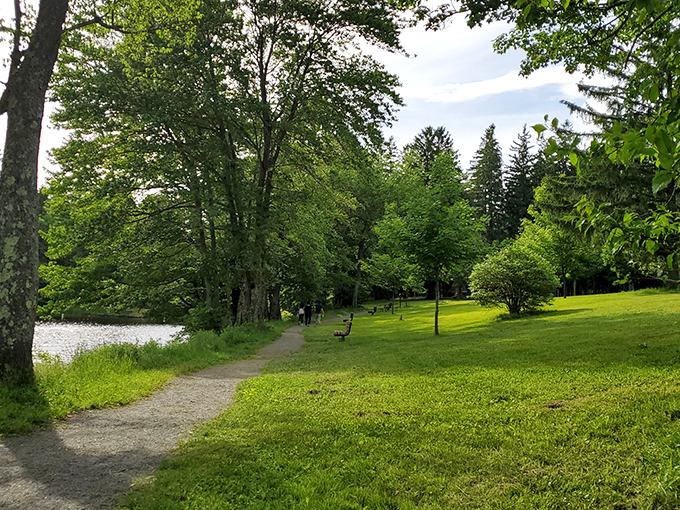 A serene lakeside path winds through emerald grass, inviting you to stroll along the water's edge. Nature's version of the yellow brick road, but greener and with fewer munchkins.