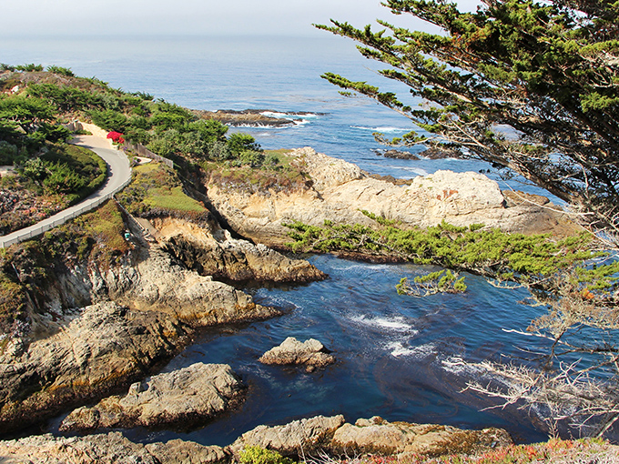 Nature's infinity pool: where rugged cliffs meet the Pacific in a display that makes even the most jaded travelers stop mid-sentence.