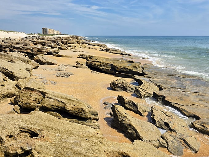 Nature's own jigsaw puzzle: The coquina rock formations along Washington Oaks' beach create a dramatic coastline unlike any other in Florida.