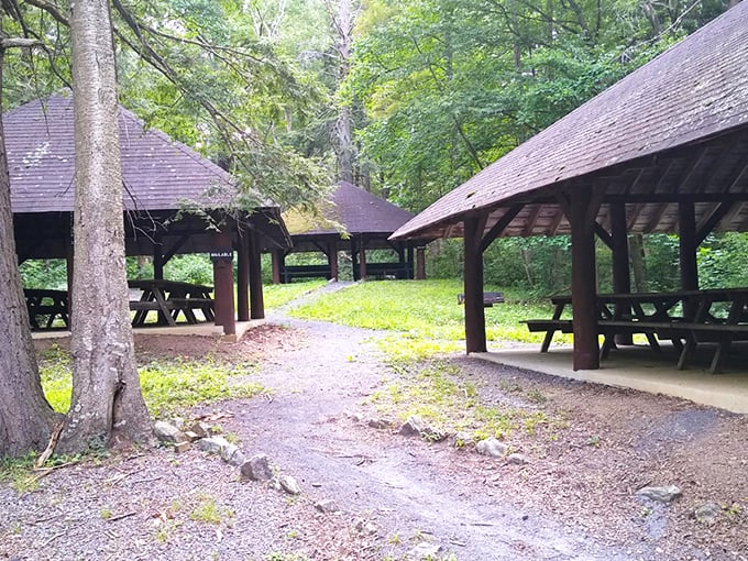 Rustic picnic pavilions nestled among towering trees offer the perfect spot for a woodland feast. Nature's dining room comes with cathedral ceilings and forest-scented air.