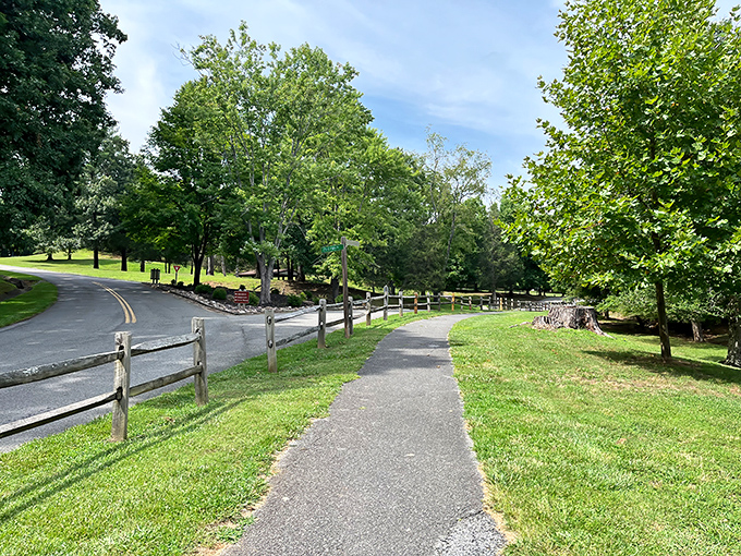 Winding paths that practically beg you to explore &ndash; nature's version of "choose your own adventure" without the dog-eared pages.
