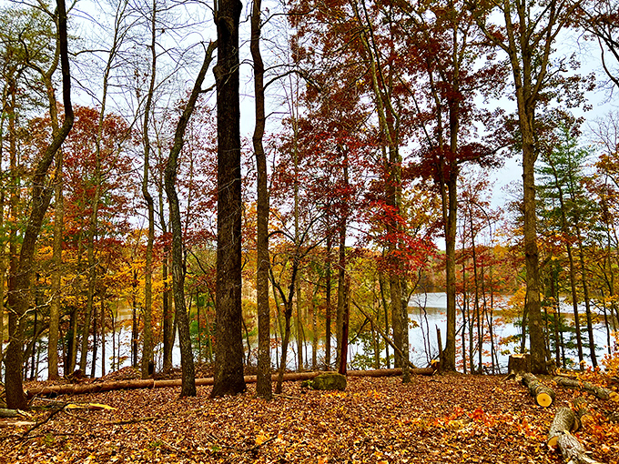 Morning mist hovers like nature's special effect over Fairy Stone Lake, creating a scene so peaceful you'll forget your phone exists.