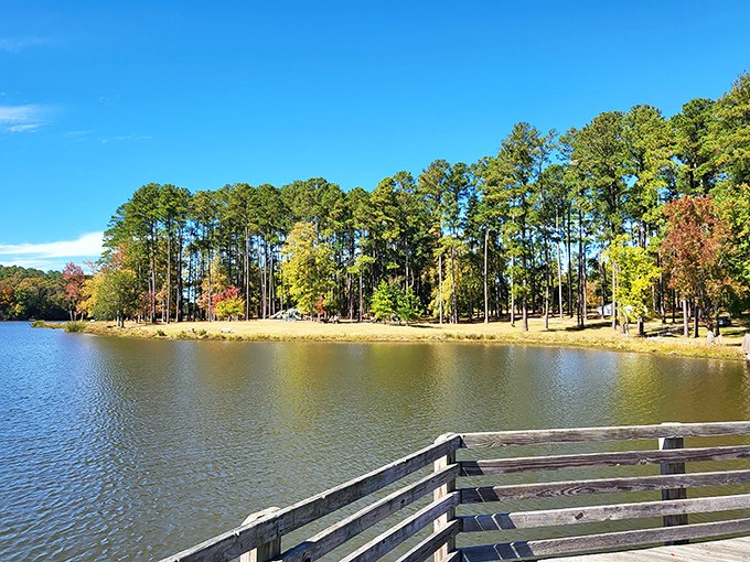Nature's perfect mirror: Chester State Park's 160-acre lake reflects towering pines and blue skies, creating postcard-worthy views from the wooden fishing pier.
