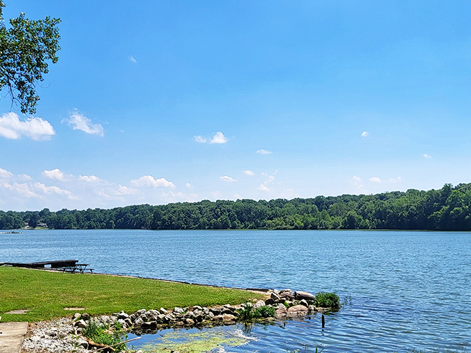 Welcome to 531 acres of pure Ohio serenity, where nature shows off without even trying.