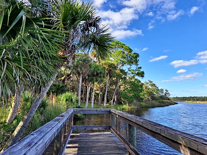 Nature's boardwalk beckons with promise of adventure. The weathered wooden path stretches toward Bulow Creek's tranquil waters, where Florida's wild heart beats strongest.
