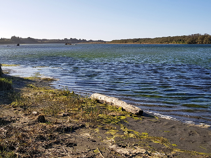 Lake Earl's serene waters reflect the surrounding landscape like nature's own Instagram filter, no editing required.