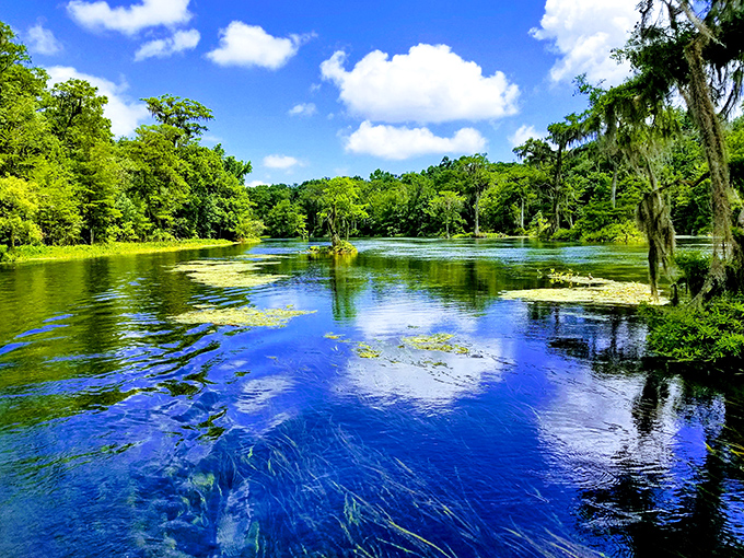 Water so clear you'll wonder if someone forgot to add the "water" part to this natural swimming pool.