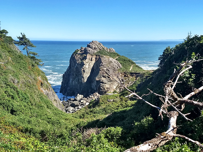 Nature's own sea stack sculpture garden, where the Pacific Ocean moonlights as a master artist.