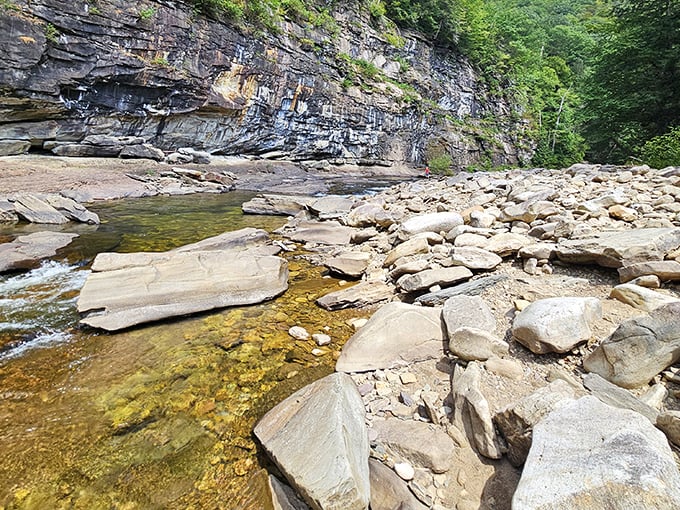 Dramatic rock walls tower above the creek bed, showcasing millions of years of geological history in one frame &ndash; Mother Nature's ultimate time capsule.