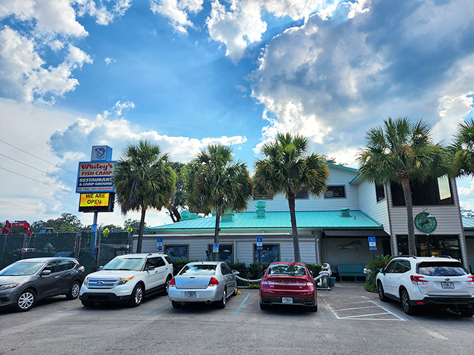 Classic Florida charm greets you at Whitey's Fish Camp, where palm trees stand guard over seafood treasures waiting inside.