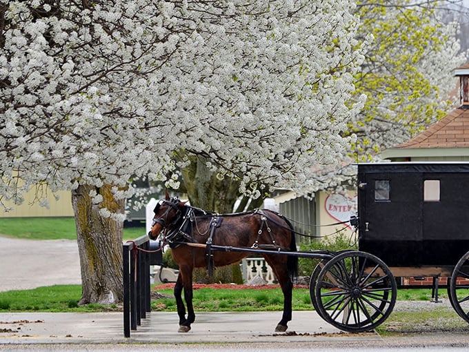 Downtown Arcola proudly displays its "America's Broom Town" golden emblem, a quirky claim to fame that sweeps visitors off their feet. 