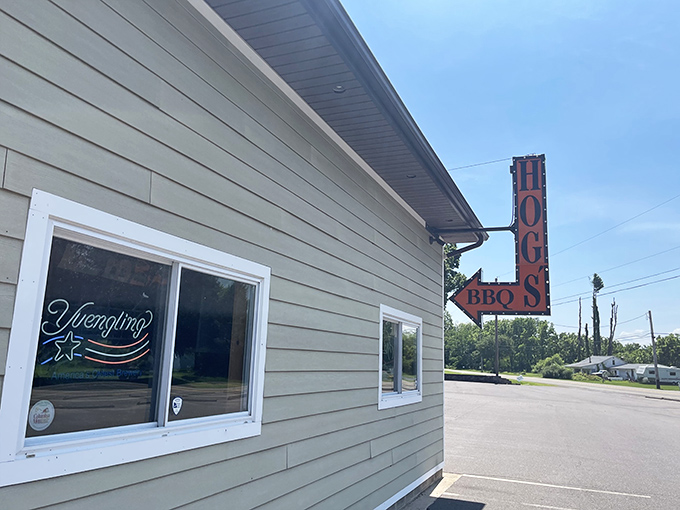 The unassuming exterior of Hog's Hollow Saloon proves once again that the best food often hides behind the most modest facades.