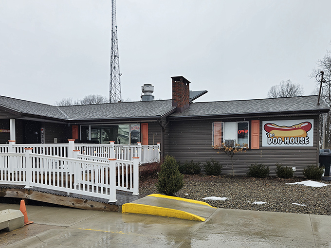 Cleveland sports pride meets hot dog heaven. The accessibility ramp isn't just thoughtful design—it's preparation for the food coma that awaits inside.