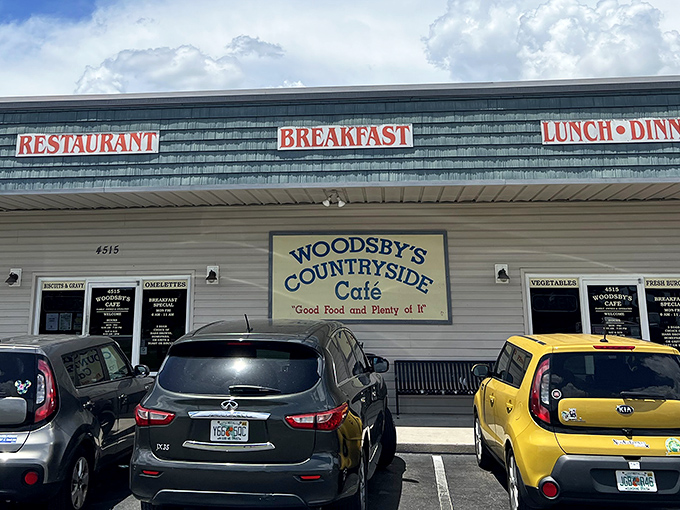 The unassuming exterior of Woodsby's Countryside Café promises exactly what it delivers – "Good Food and Plenty of It." No false advertising here!