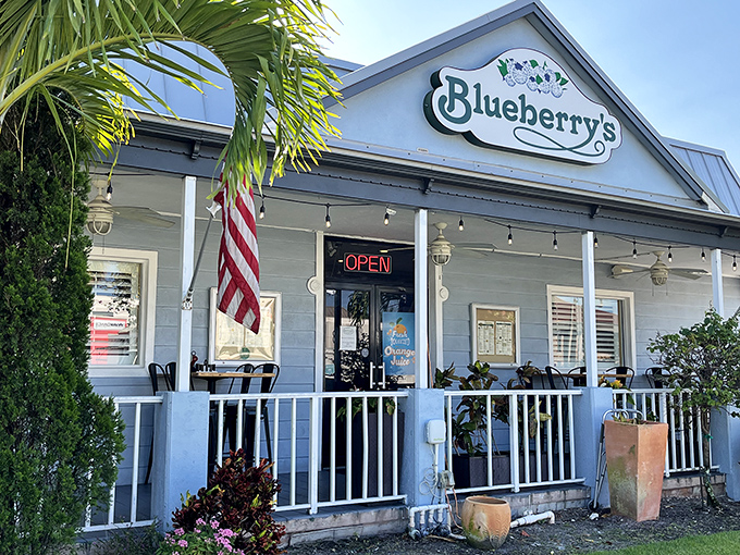 The charming blue cottage exterior of Blueberry's beckons like a breakfast siren song. That glowing "OPEN" sign might as well say "Happiness Served Here."