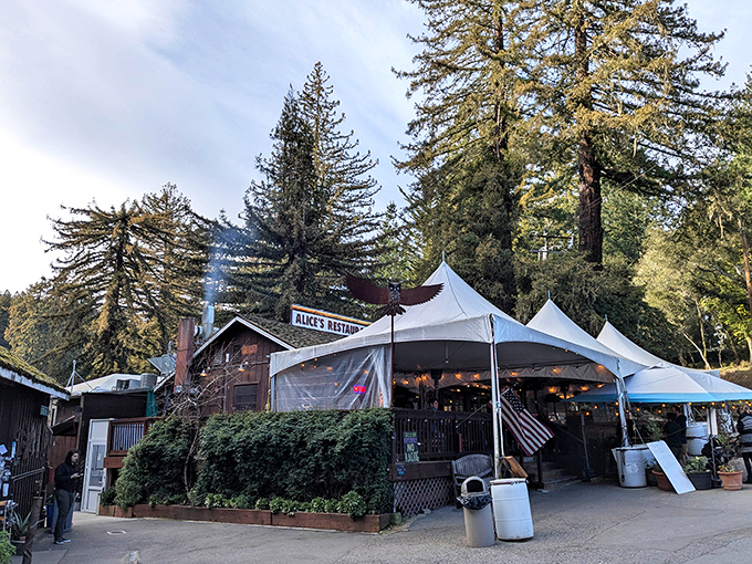 Nestled among towering redwoods, Alice's Restaurant looks like the cozy mountain cabin you've always dreamed of finding on a scenic drive.